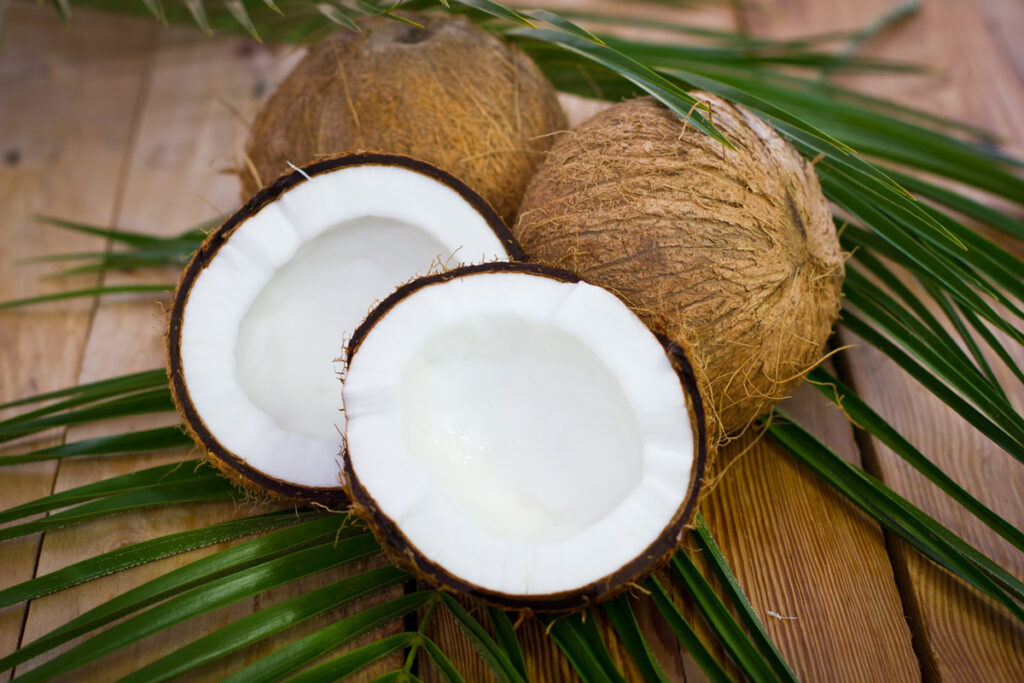 Coconut Derivatives: One Step Closer to Adopting a Healthy Lifestyle ...